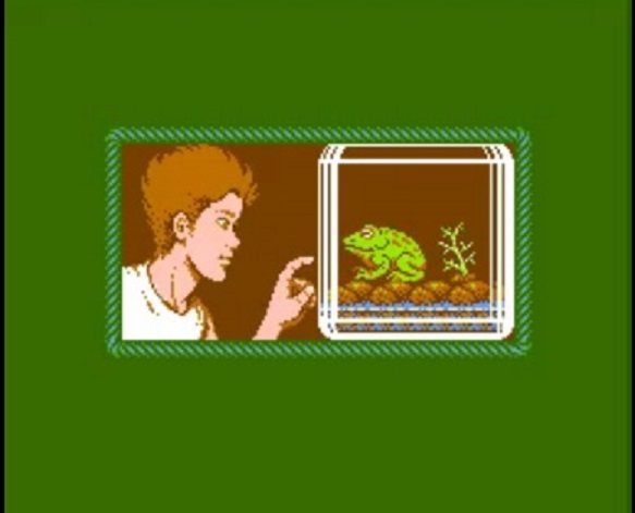 Podcast: The Legend of Fred the Frog (Blaster Master) | Gaming History 101